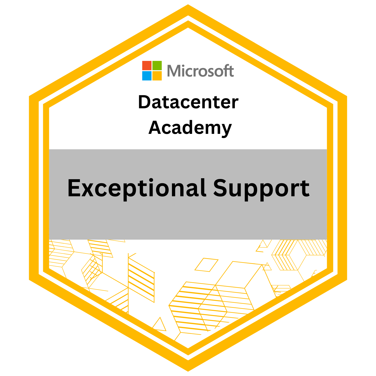 Exceptional Support - Credly