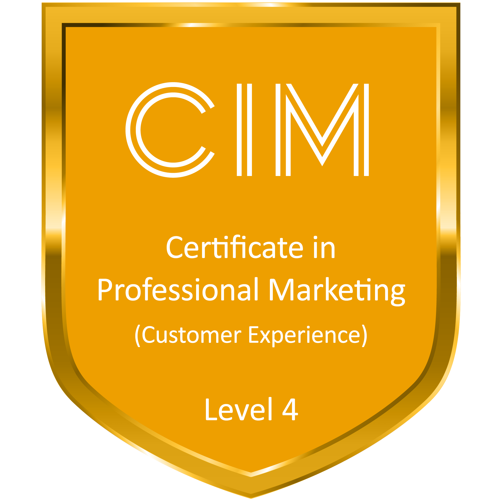 Certificate in Professional Marketing (Customer Experience) - Credly