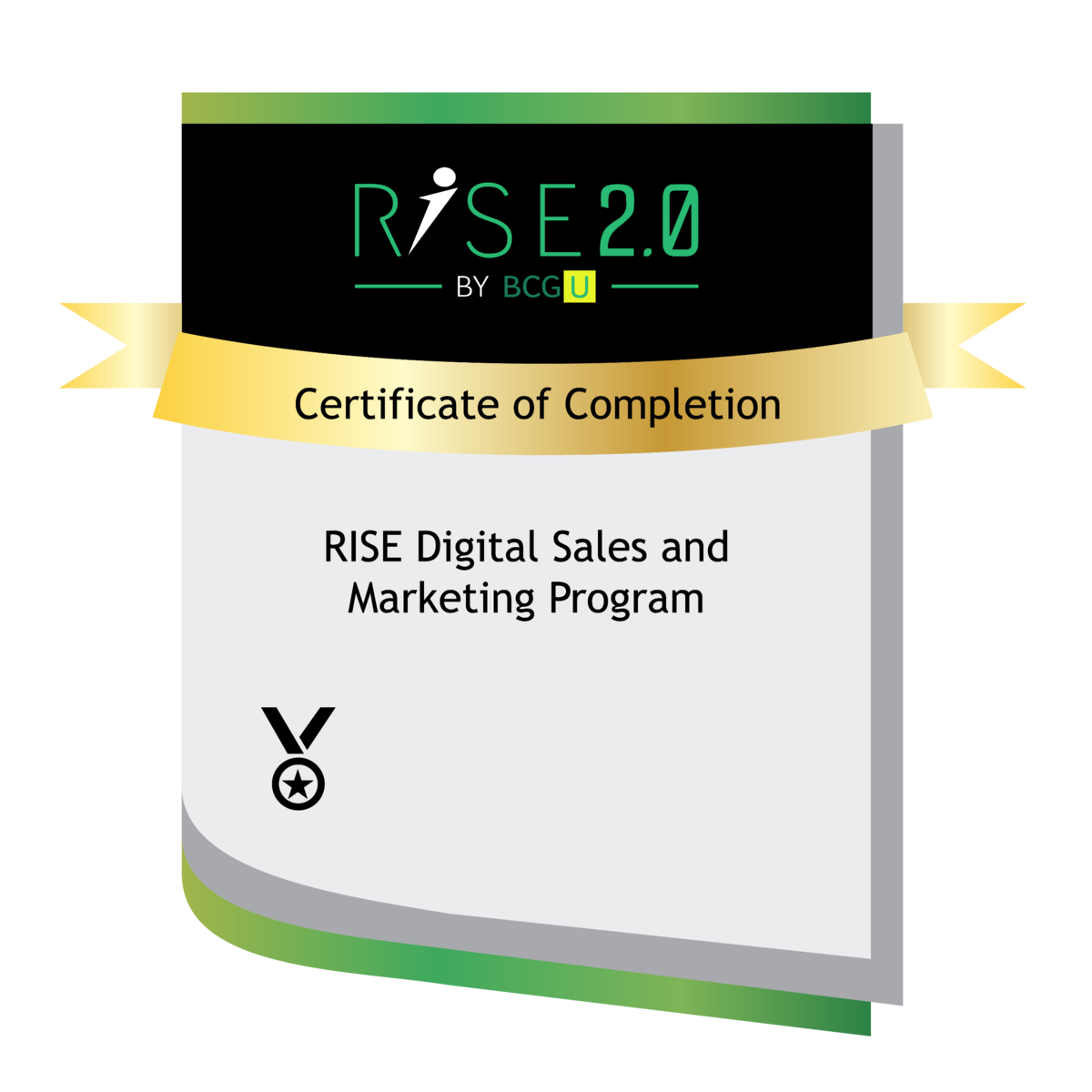 BCG RISE Certificate of Completion - Digital Sales & Marketing Program ...