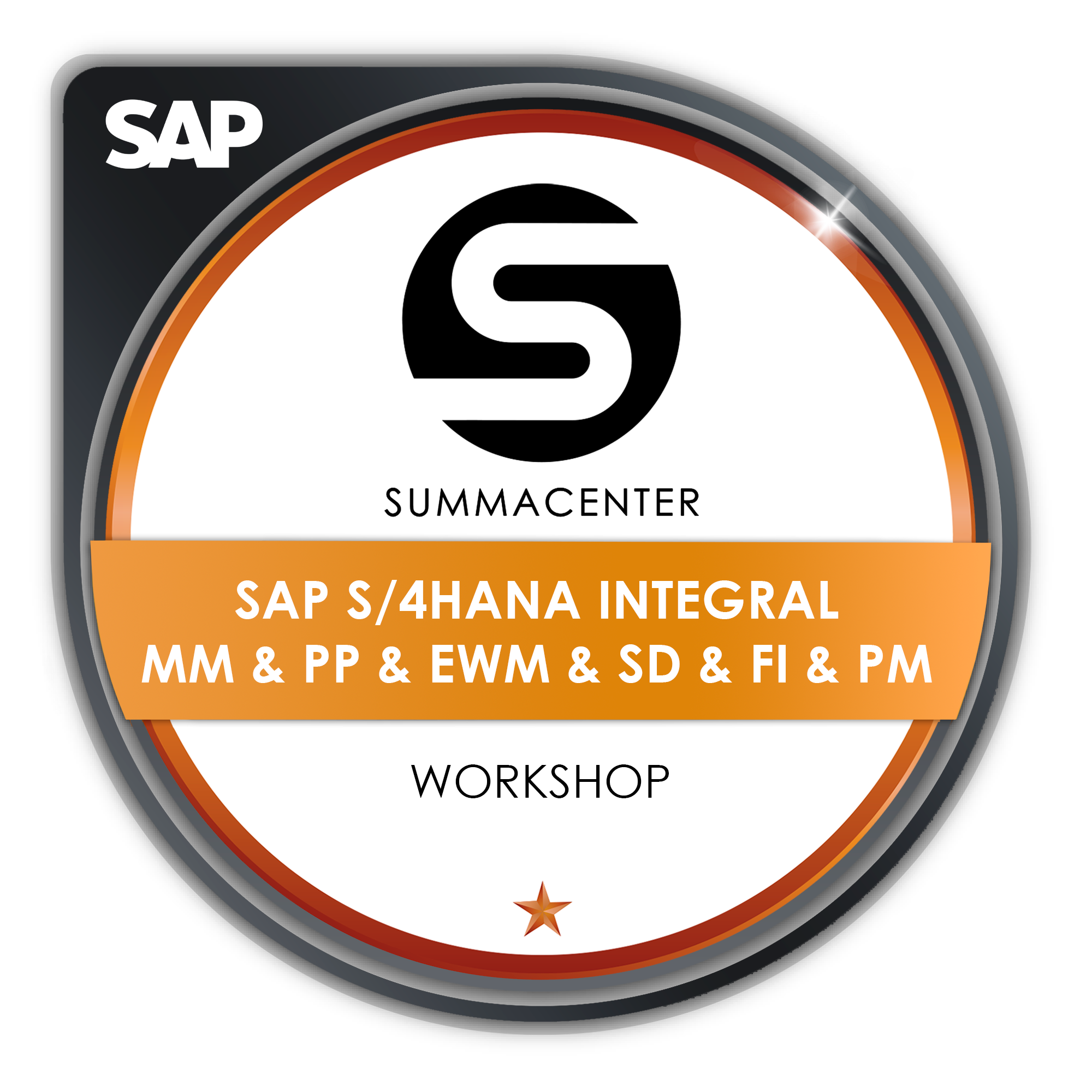 Master Class SAP S/4HANA Integral Empresarial (S/4 HANA MM & PP & EWM ...