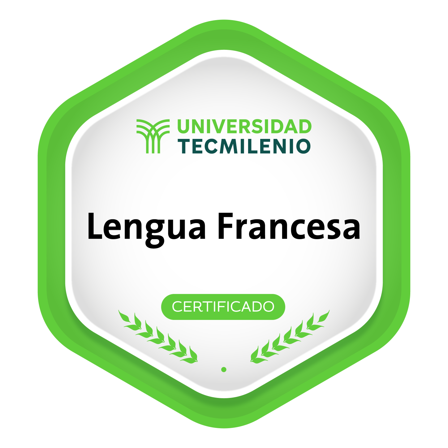 Lengua francesa - Credly