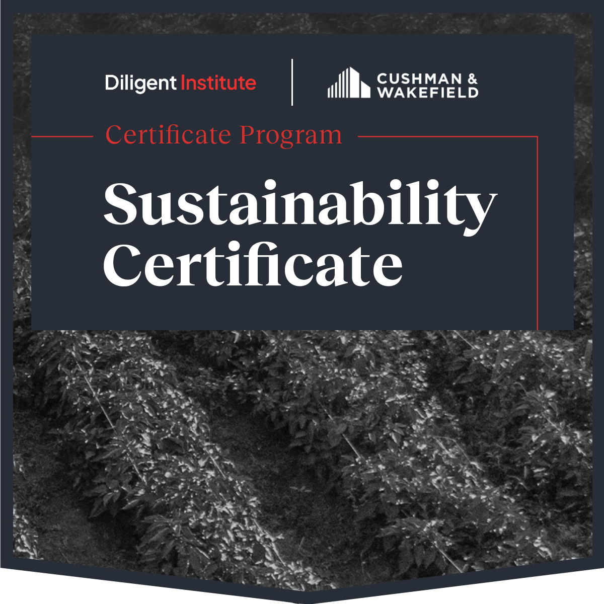Cushman & Wakefield Sustainability Certificate - Credly