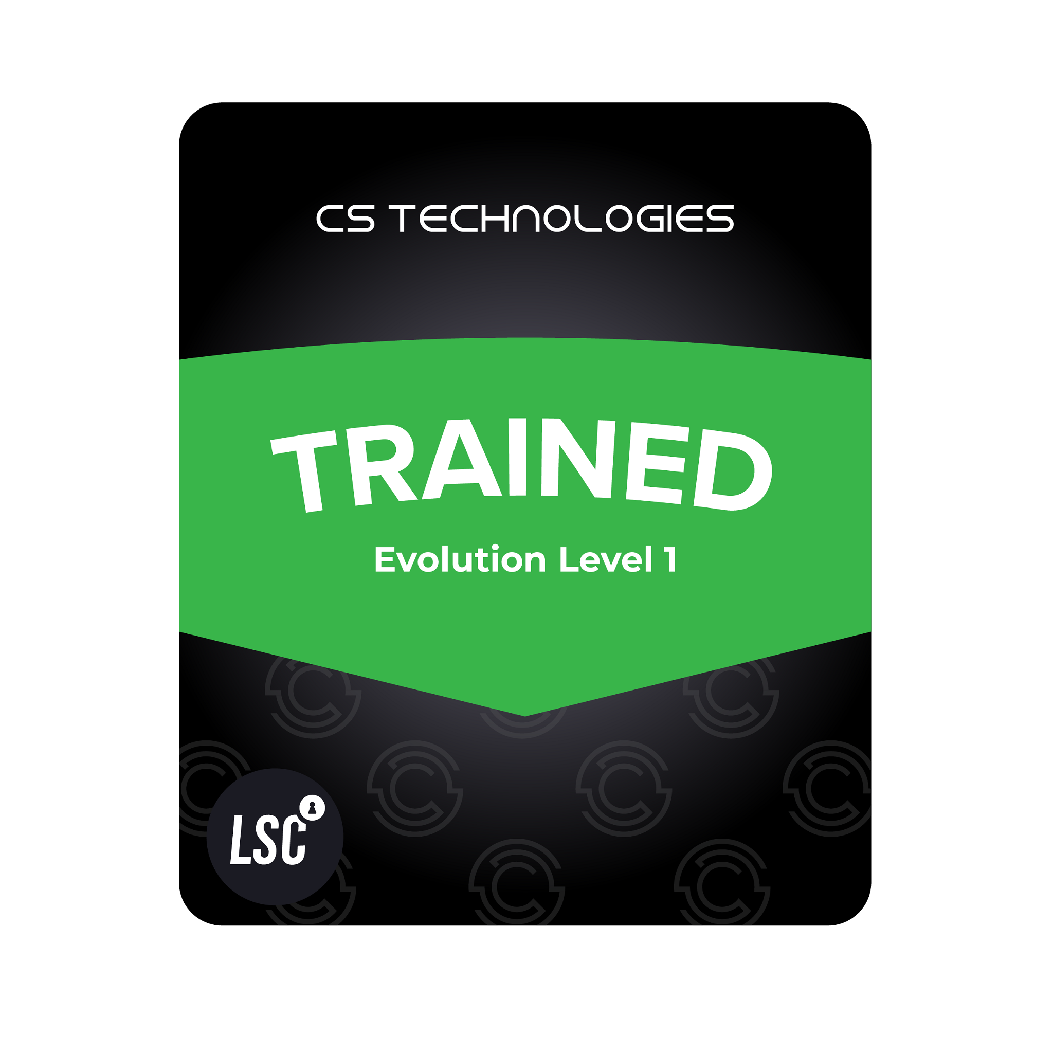 CS Technologies Evolution Level 1 - Credly