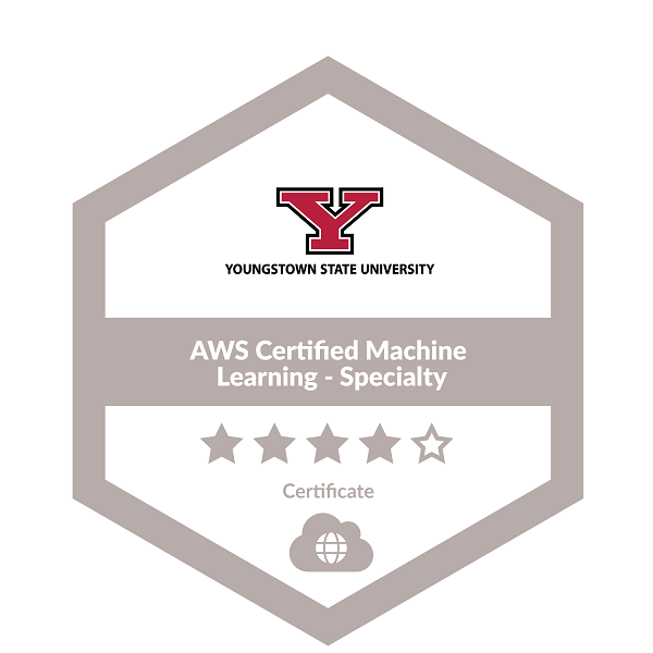 AWS Certified Machine Learning - Specialty - Credly