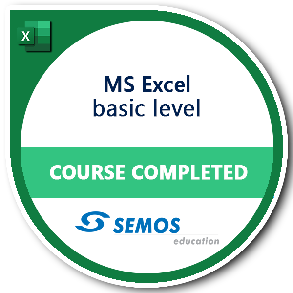 MS Excel - basic level - Credly