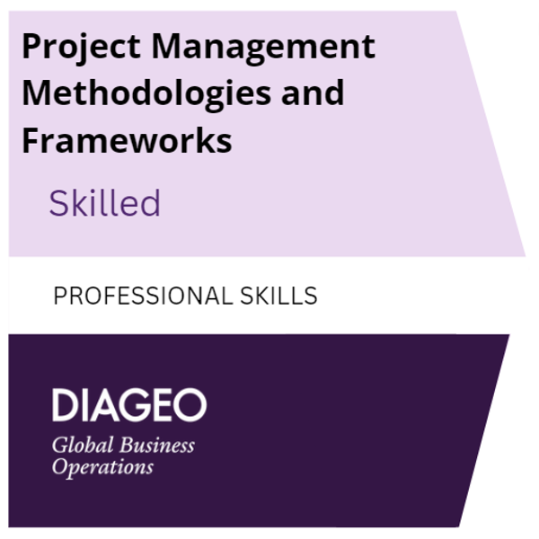 Project Management Methodologies and Frameworks Skilled - Credly