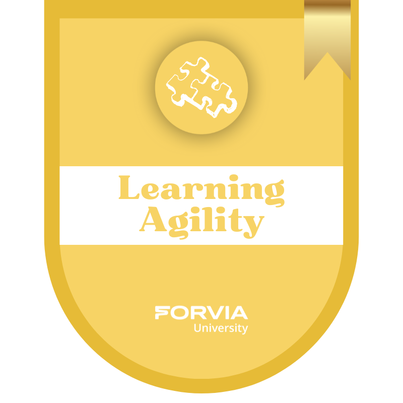 Learning Agility - Credly