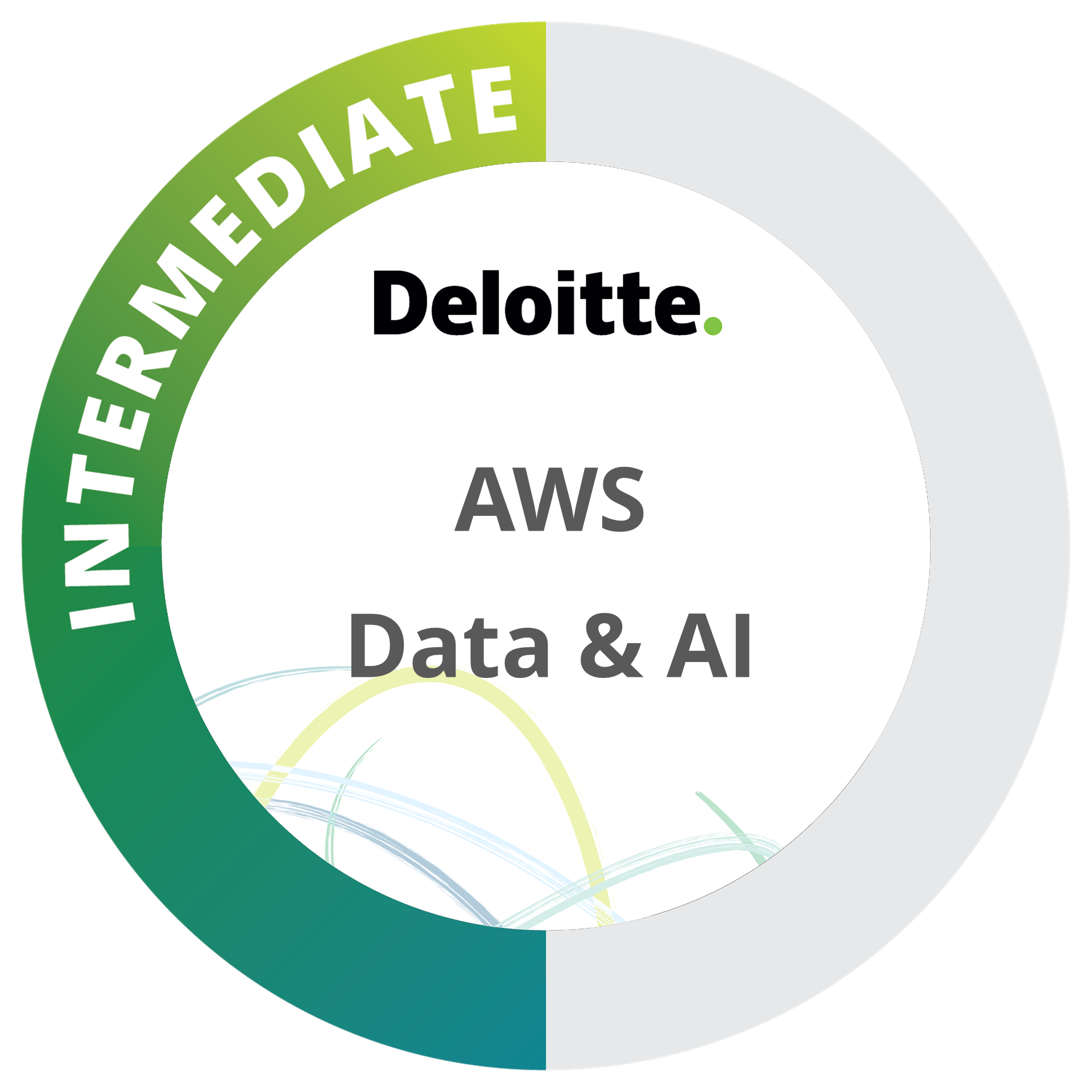 Deloitte AWS Data & AI - Credly