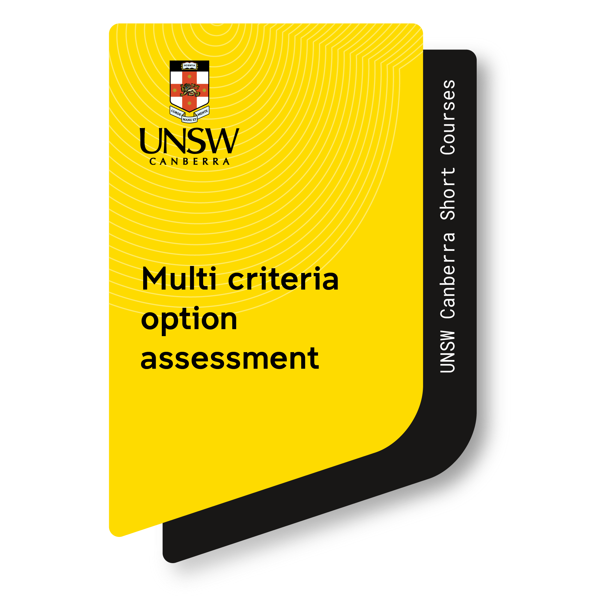 Multi Criteria Option Assessment Credly