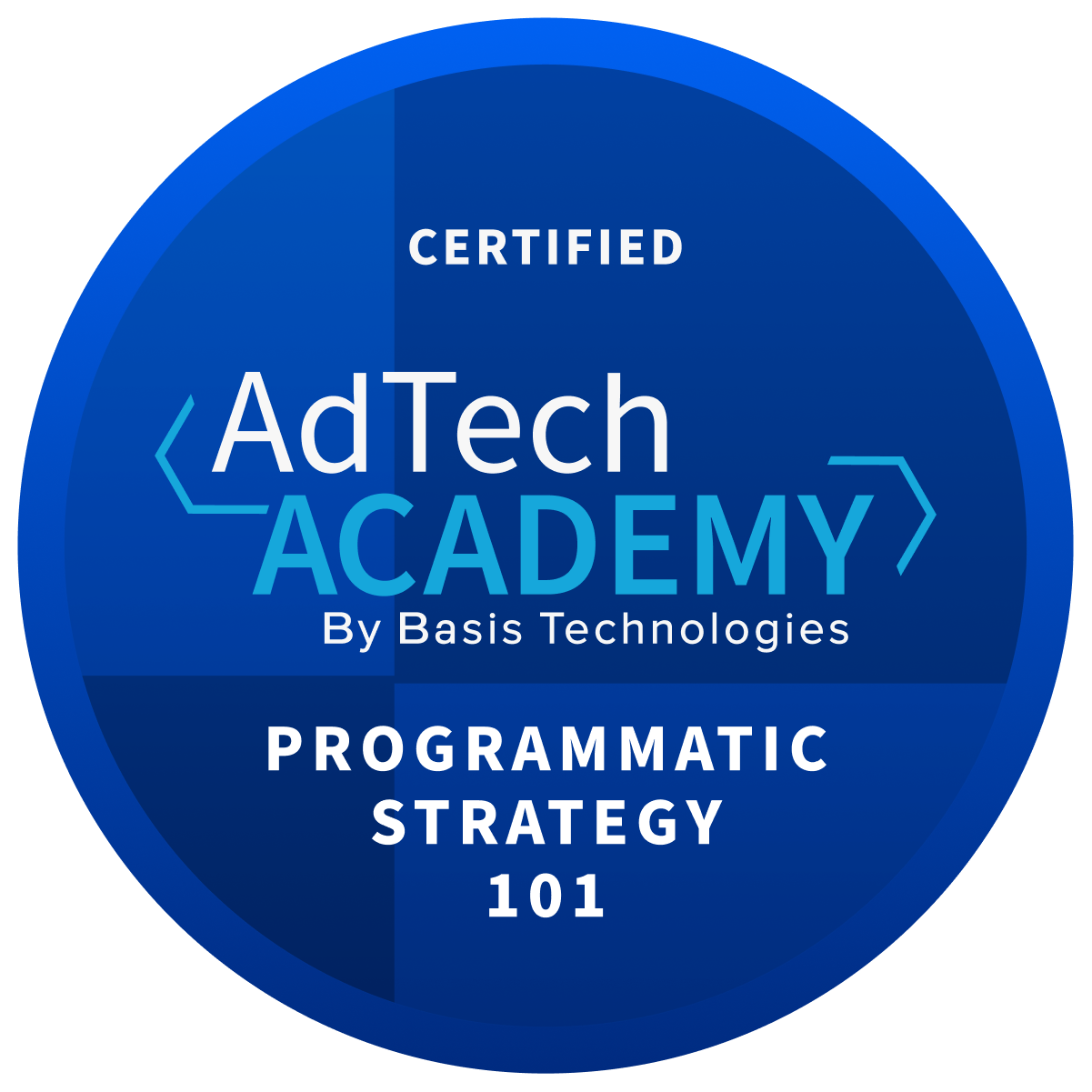 Programmatic Strategy 101 - Credly