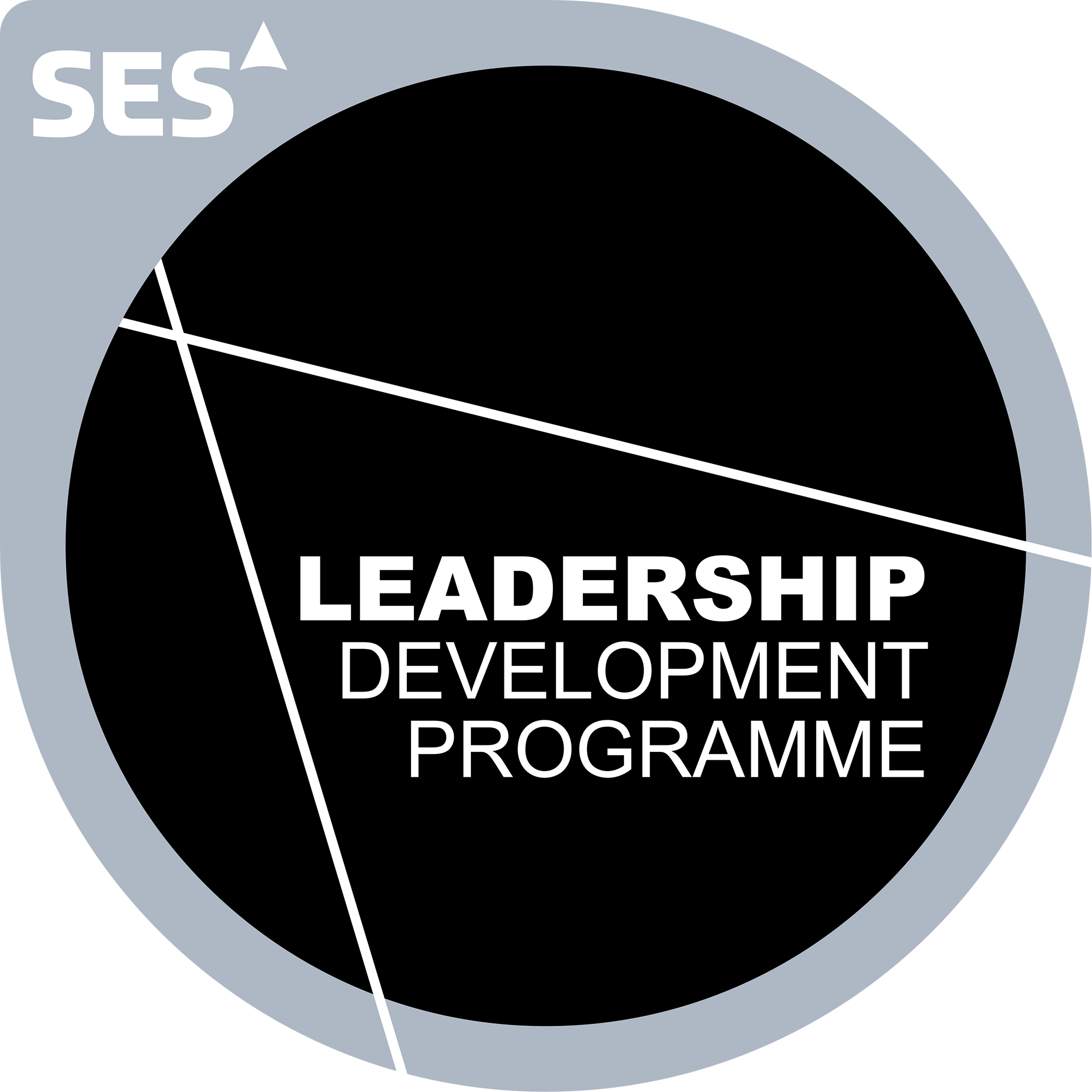 Leadership Development Programme - Credly