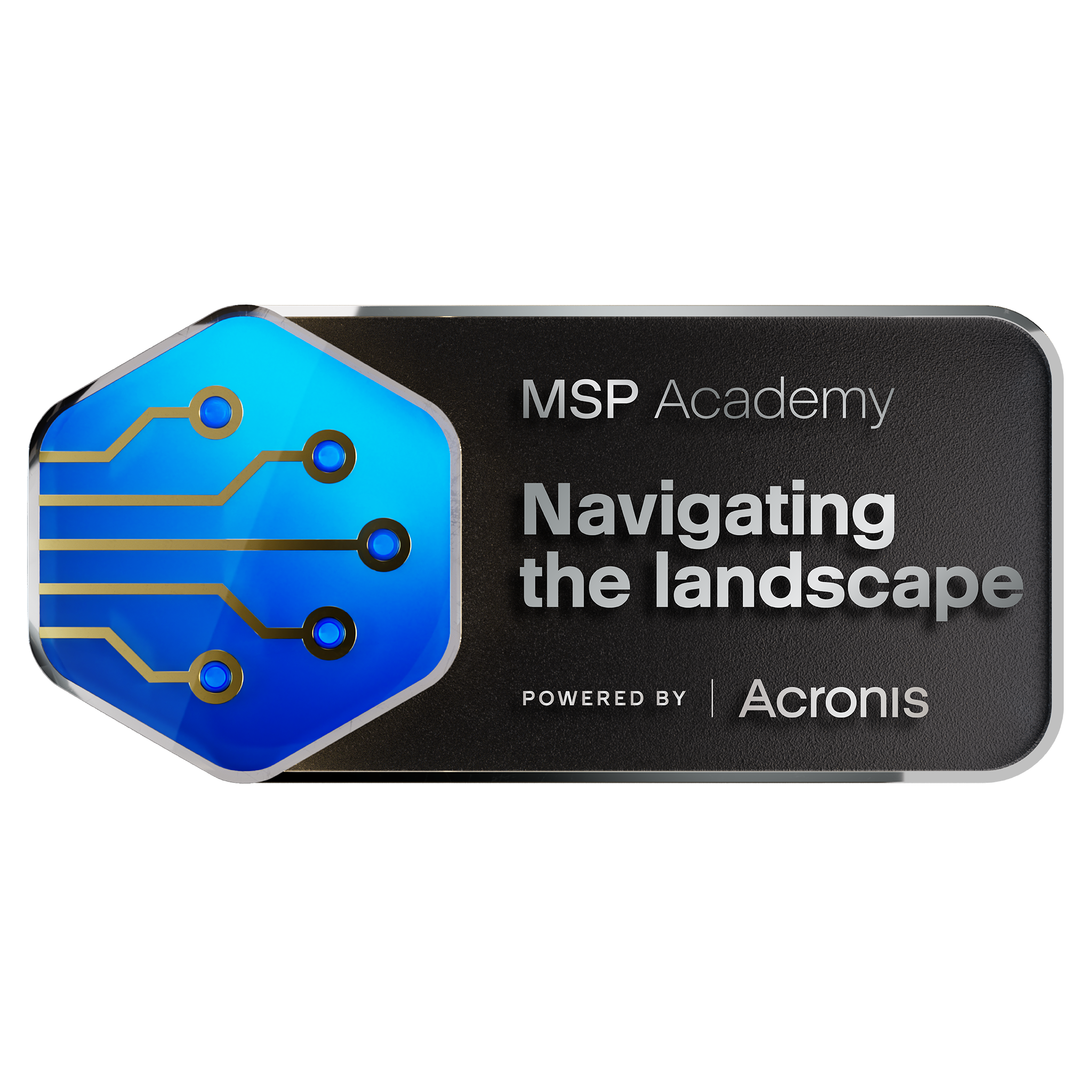 MSP Academy: Navigating the landscape - Credly