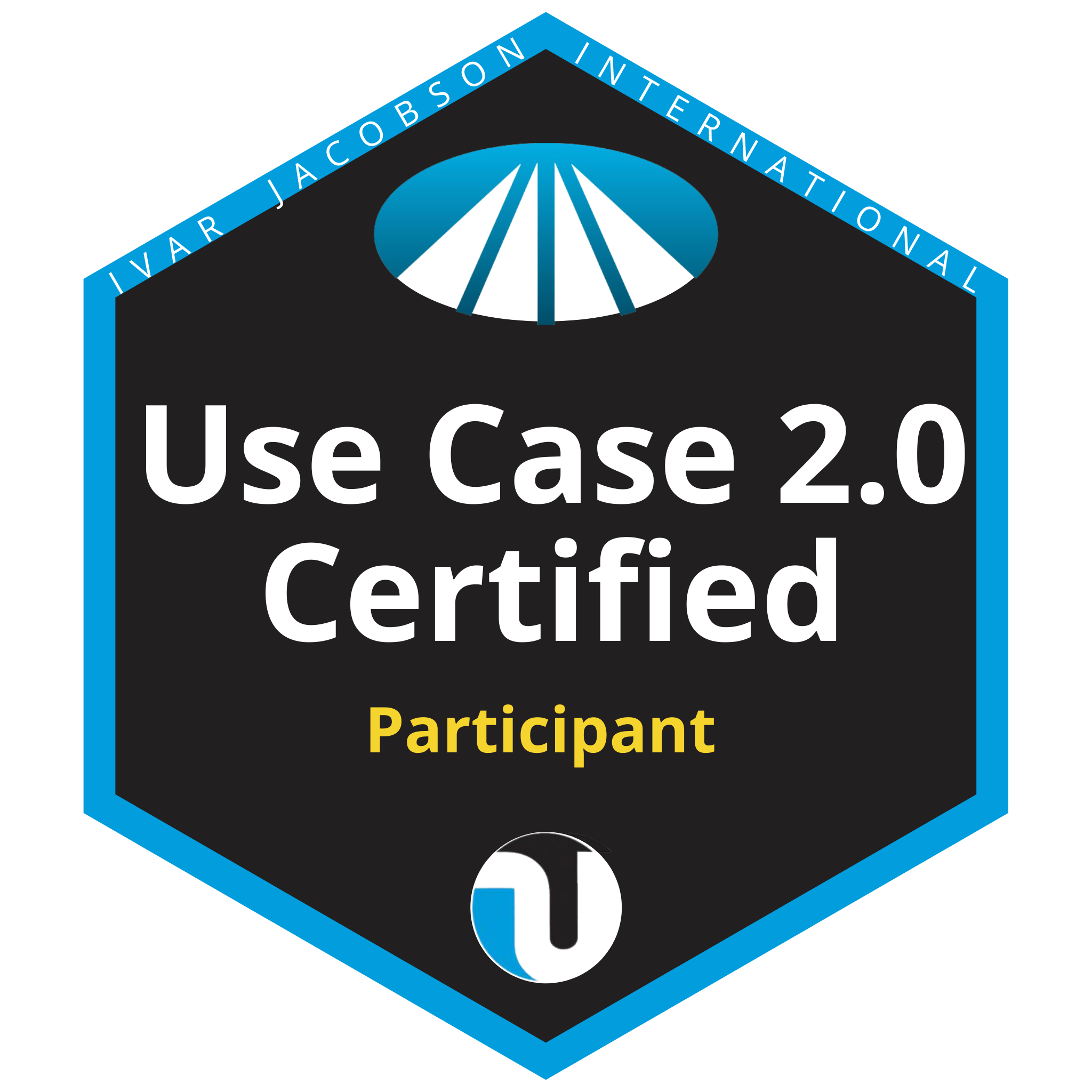 Use Case 2.0 Participant - Credly
