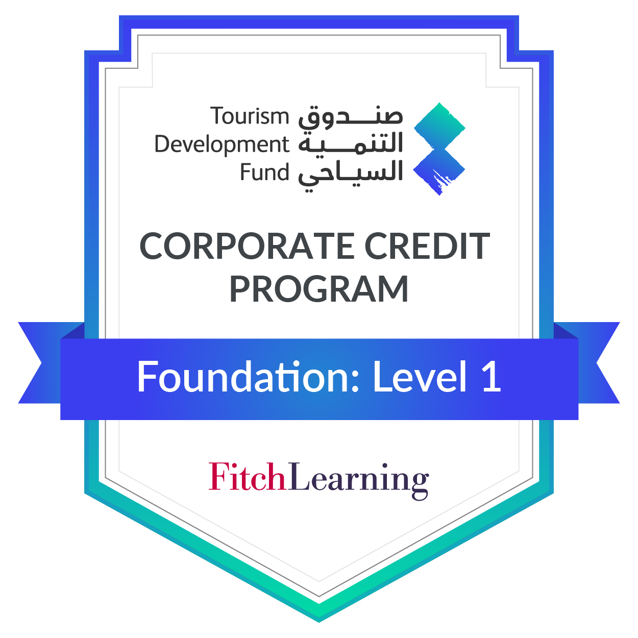 The TDF Corporate Credit Program - Foundation Level 1 - Credly