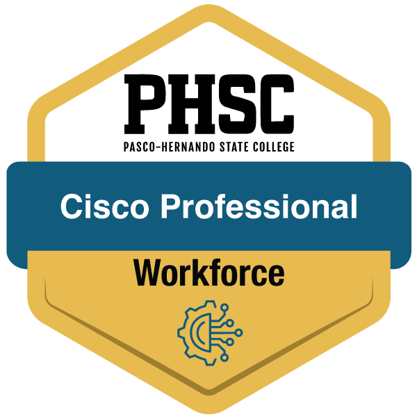 Cisco Professional - Credly