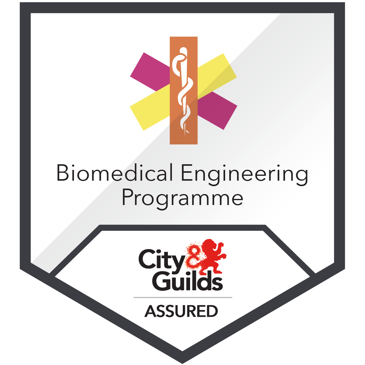 Biomechanical Engineering Logo